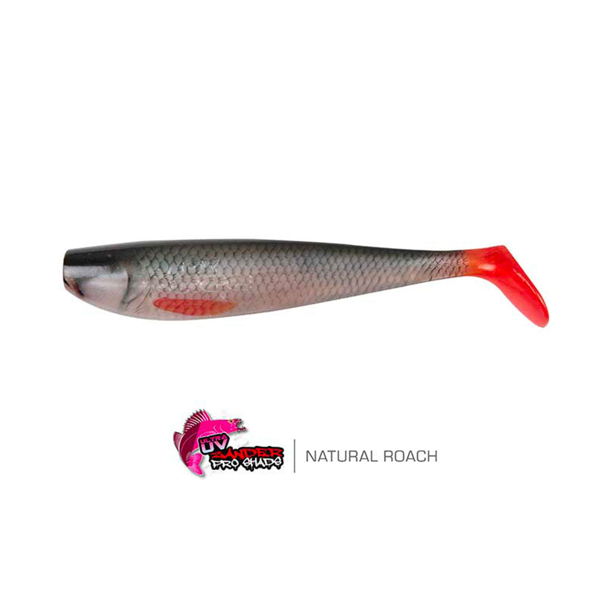 FOX RAGE - NATURALS ZANDER PRO BULK SHADS 10cm 4" | Ultra Realistic Ro ...